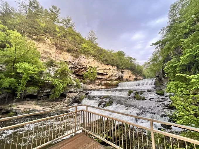 Willow Falls 6