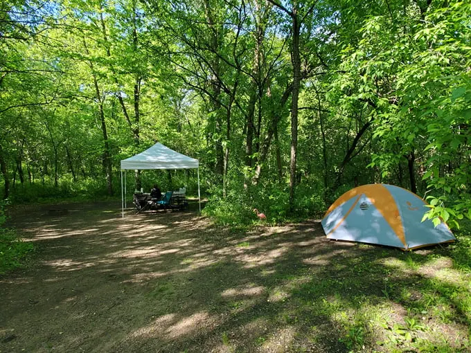 Willow Falls 8
