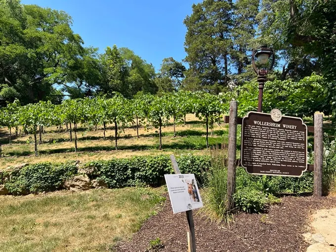 Wollersheim Winery 8