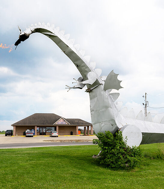 coolest metal dragon illinois ftr