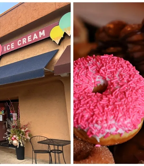 delicious donut flavors minnesota ftr