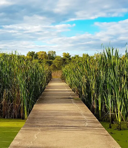 easy trail illinois ftr
