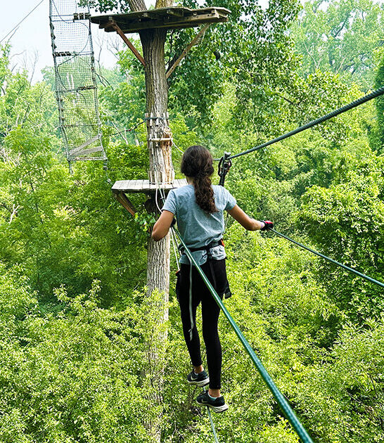 fun treetop adventure illinois ftr