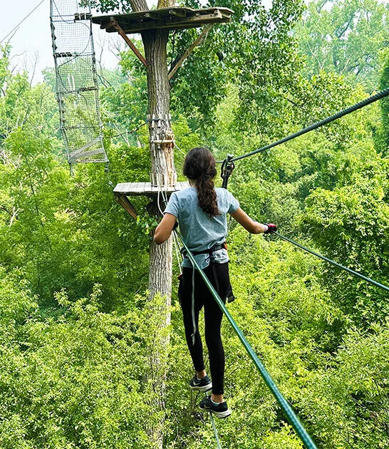 fun treetop adventure illinois ftr