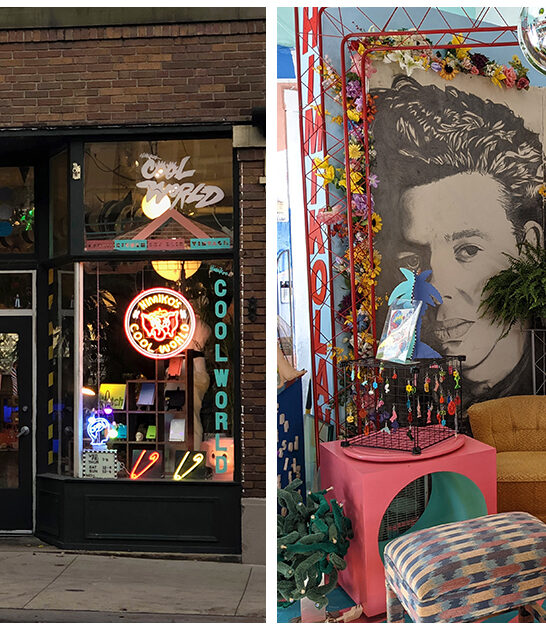 funky vintage shop ohio ftr