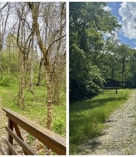 hidden-picturesque-trail-ohio FTR