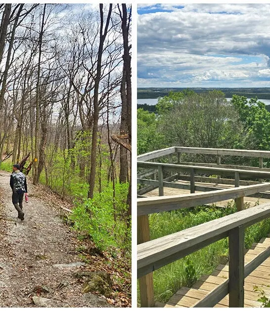 illinois-gorgeous-forest-overlook ftr