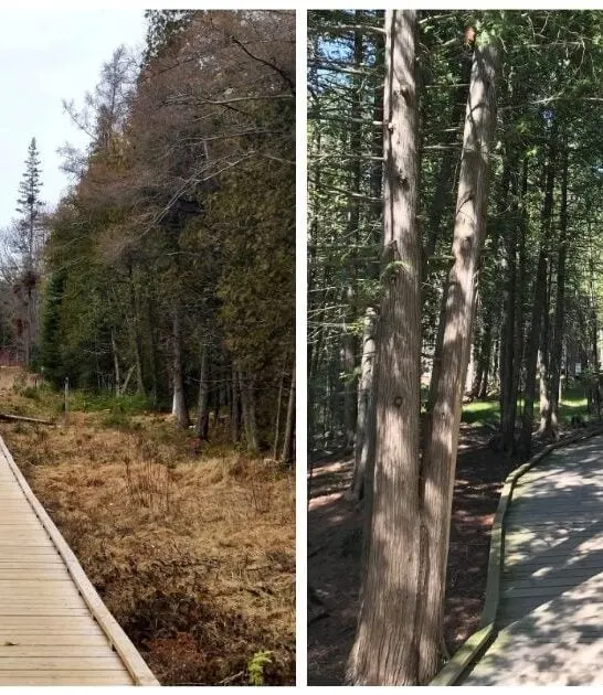 little known trail wisconsin ftr
