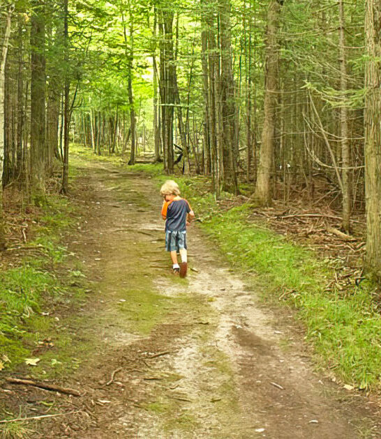 michigan hidden trail ftr