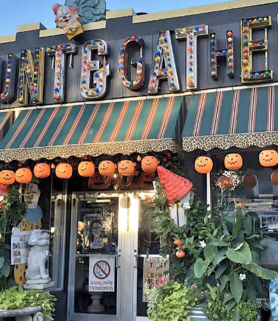 quirky antique store minnesota ftr