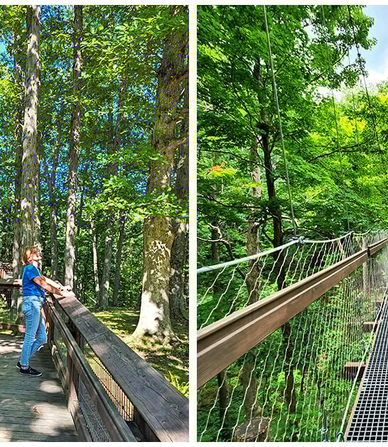 stunning-canopy-walk-ohio ftr