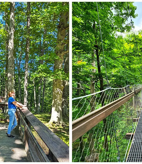 stunning-canopy-walk-ohio ftr