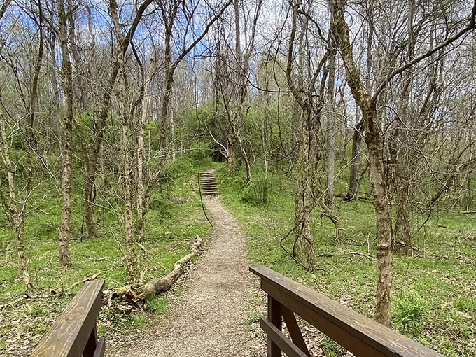 the ridges loop trail 1