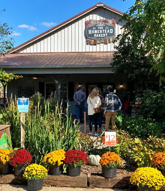 tiny amish bakery illinois ftr