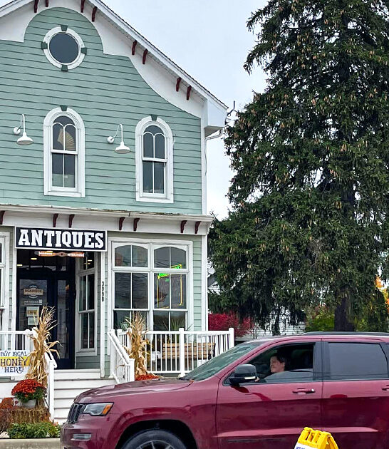 unique antique shop michigan ftr