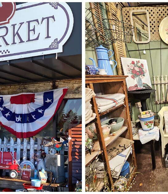 unique-antique-shop-minnesota FTR