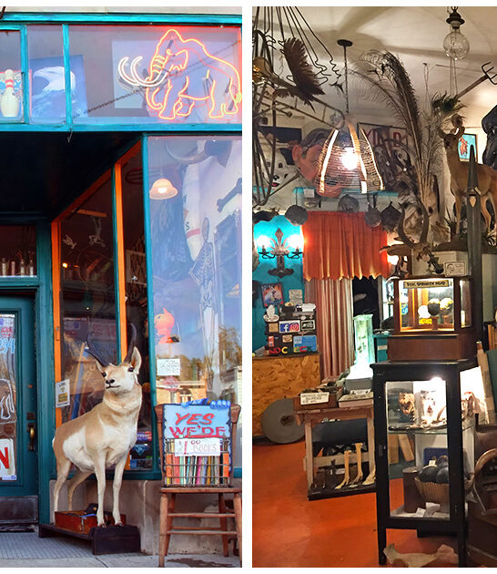 wacky-antique-store-illinois FTR