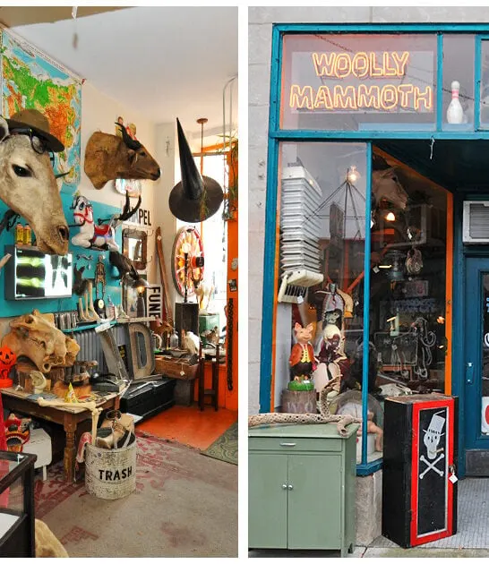 wacky-curiosity-shop-illinois ftr