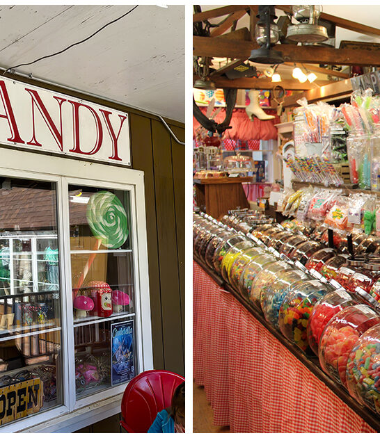 whimsical candy shop illinois ftr