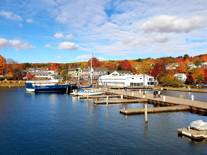 Bayfield 2