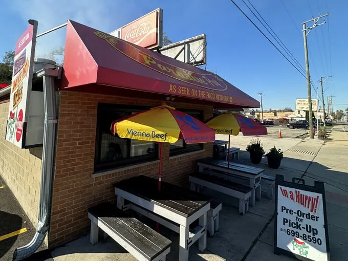 cheddar burger at paradise pup 8