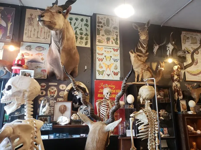 Cleveland Curiosities 2