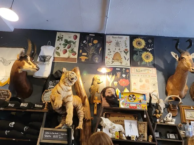 Cleveland Curiosities 4