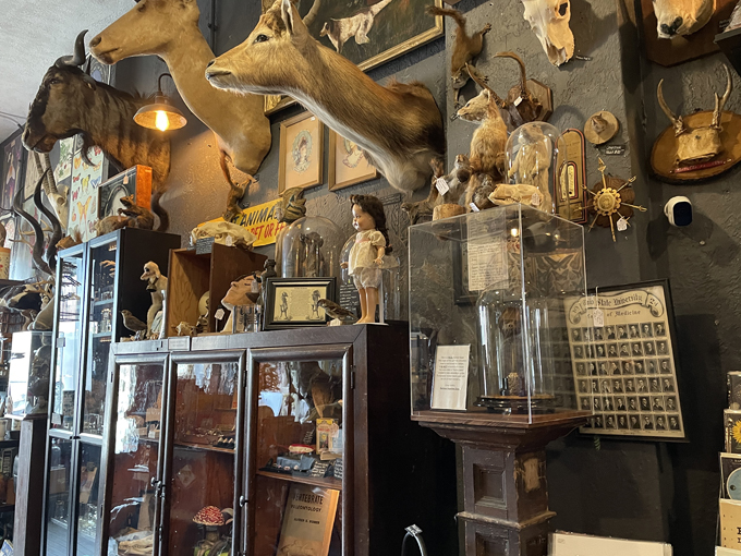 Cleveland Curiosities 5