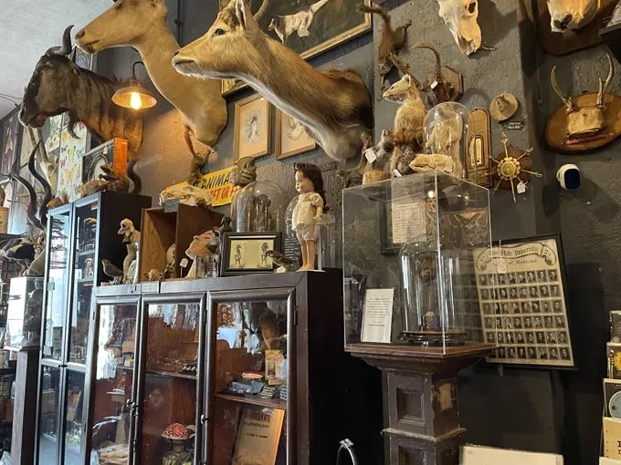 Cleveland Curiosities 5