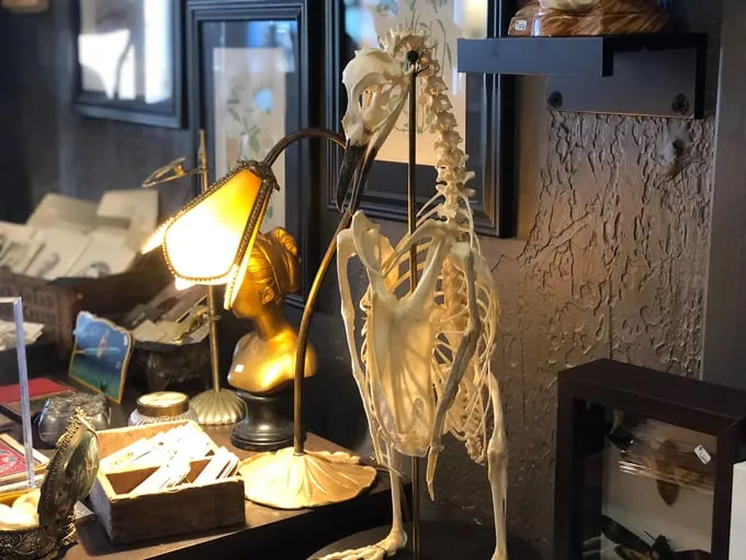 Cleveland Curiosities 6