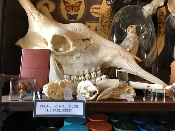 Cleveland Curiosities 7