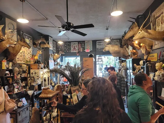 Cleveland Curiosities 9