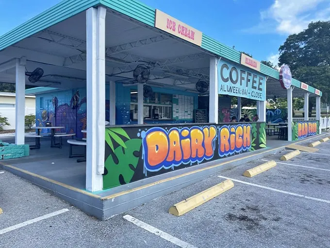 Dairy Rich 1