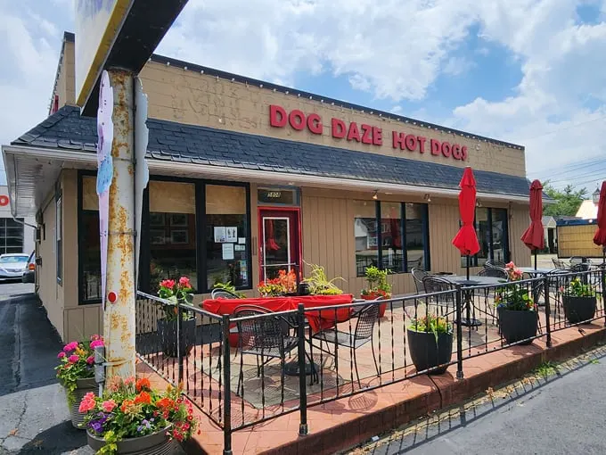 dog daze gourmet hot dogs 1