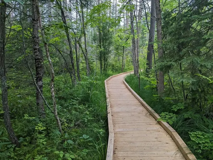 dr. roberts trail 1