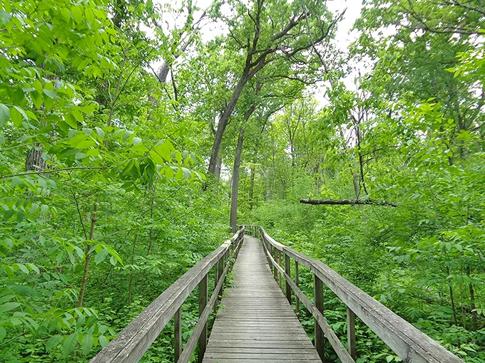 edward l. ryerson conservation area trail 1