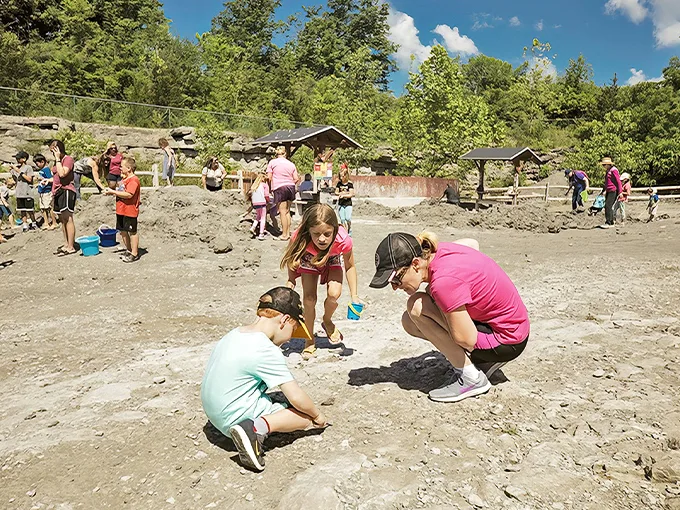 fossil park 1