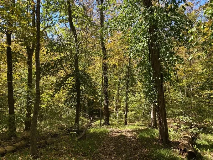 hickory ridge trail 3