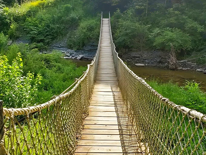horseshoe falls trail 1