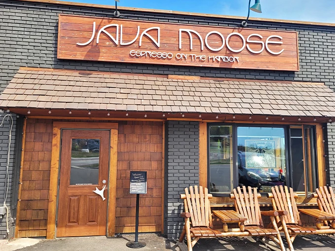 java moose espresso cafe 1