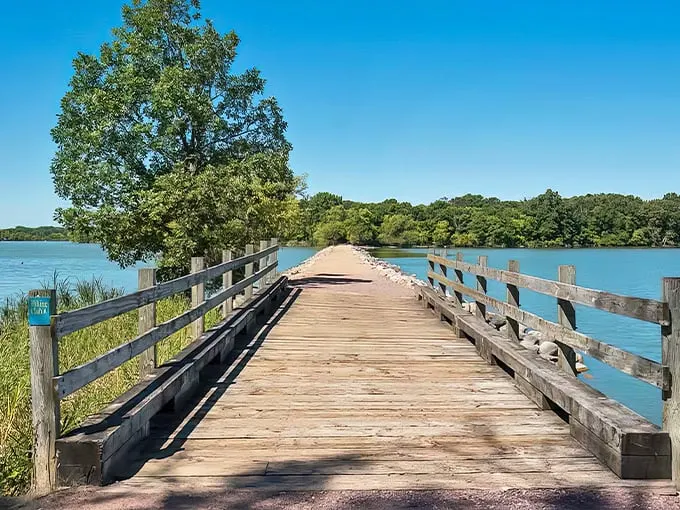 loon island trail at lake shetek state park 1