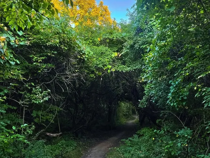 Palos Trail System 1