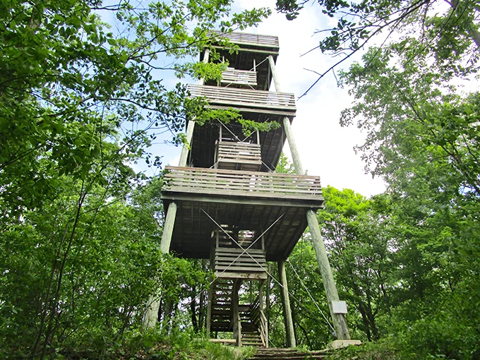 parnell tower 1