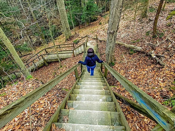 Piatt Park Trail 1