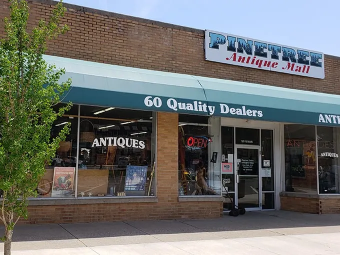 pinetree antiques & more 1