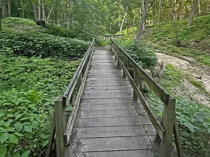Riley Creek Trail 1