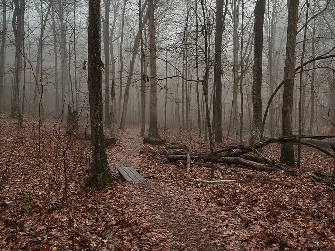 Rim Rock Recreation Trail 1