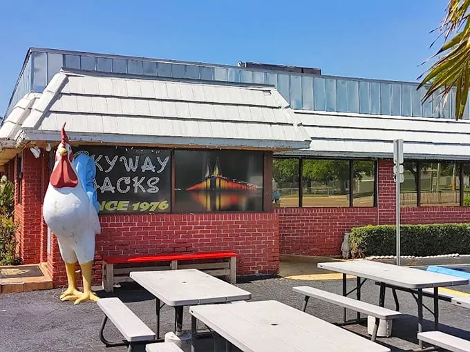 Skyway Jack's Restaurant 1