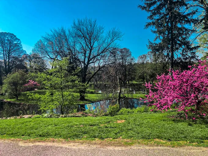 spring grove cemetery and arboretum 2