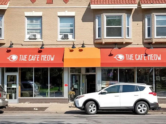 the cafe meow 1